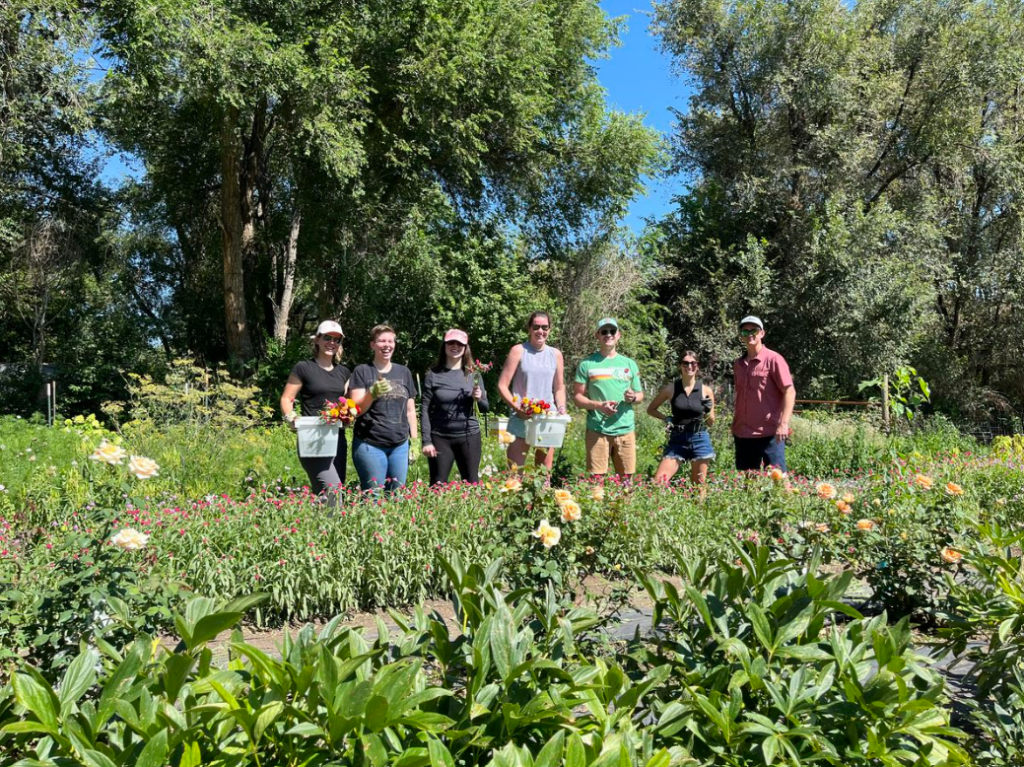 CFGI Denver Volunteers with Half Moon Farm - CFGI | Supporting CFOs In ...